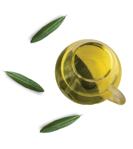 King of Olives – The Finest Olive Oil in Cyprus, Maybe in the world